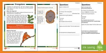 Non-Fiction Reading Comprehension KS1 | Primary Resources