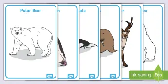 Polar Animals Artworks | twinkl.co.uk