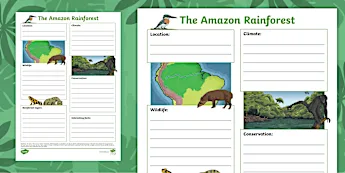 Amazon Rainforest Resources | twinkl.co.uk