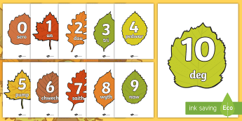 Autumn Leaves Numbers | twinkl.com.au
