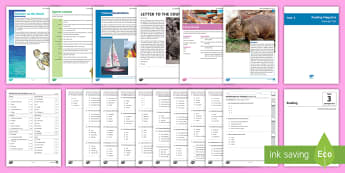 Year 3 NAPLAN | NAPLAN Examples | Prac Teachers