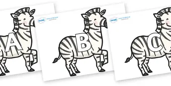 Zebra Images | twinkl.com.au