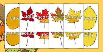 Autumn Leaves Displays | twinkl.com.au