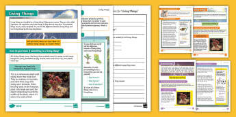 Animals and Plants Reading Comprehension ks2 - Twinkl