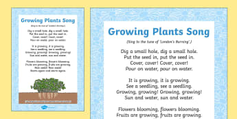 Science and Investigation Plants and Growth Early Years (EYFS) - T