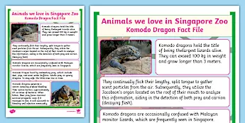 Animals Fact File • Twinkl.ca