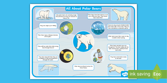 Polar Bears Resources | twinkl.co.uk