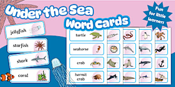 Under the Sea English Primary Resources, sea life, ocean