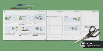 Photosynthesis Resources | twinkl.co.uk