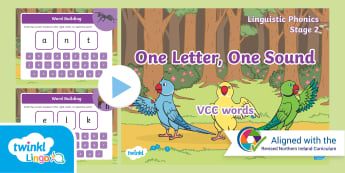 Stage 2 Phonics Resources | Northern Ireland | KS1 - Twinkl