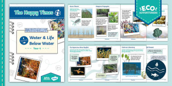 Year 4 | Water | Sustainability - Twinkl