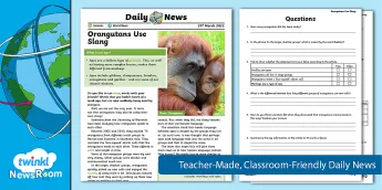 Comprehension Questions Reading | twinkl.co.uk