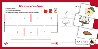 Sequencing Activities | twinkl.com