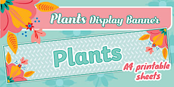 Plants Displays KS2 Science | Primary Resources - Twinkl