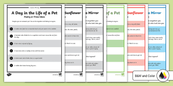 Writing Prompts for 6th Grade | twinkl.com