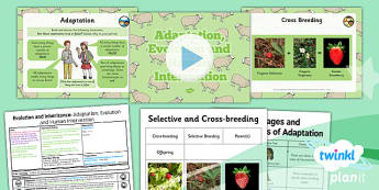 Evolution and Inheritance | KS2 Science | Twinkl - Twinkl