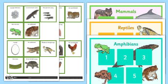 Variation and Classification Resources - KS2 Science