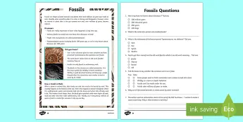 KS2 Fossils | twinkl.co.uk