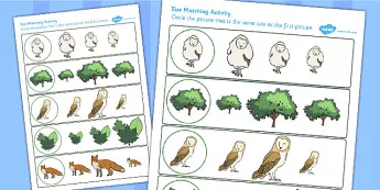 Matching Shapes Worksheets | twinkl.com.au