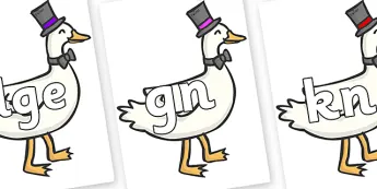Goose Resources | twinkl.co.uk