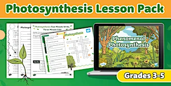 Photosynthesis Lessons | twinkl.com