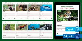 I See, I Think, I Wonder Activities | twinkl.com
