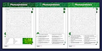 Photosynthesis Activities | twinkl.co.uk