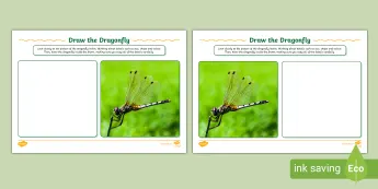 Dragonfly Artworks | twinkl.com.au
