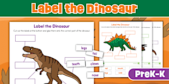 Matching Worksheets | twinkl.com