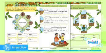 Plants - Year 2 Science Resources