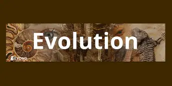 Evolution Resources | twinkl.co.uk