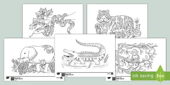 Mindfulness Animal Colouring Sheets | twinkl.co.uk
