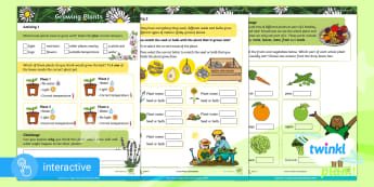 Plants - Year 2 Science Resources