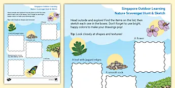 Nature Drawing Activities | twinkl.co.uk