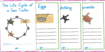 Life Cycles | Animals, Including Humans | Science | KS1