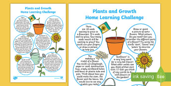 Early Years Planting & Growing Activities | EYFS Resources