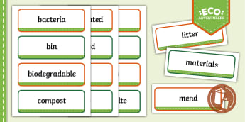 Year 2 | Waste | Sustainability - Twinkl