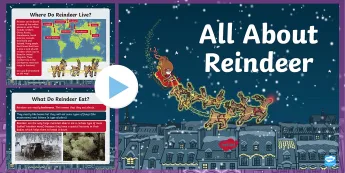 Christmas Reindeer • Twinkl.co.uk