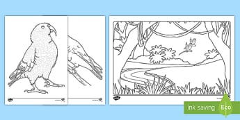 Colouring Pages for KS1 - Pictures for Children to Colour - Page 10