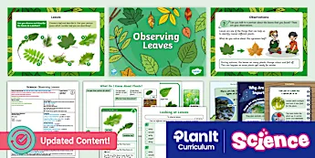 Year 1 Plants Lessons | twinkl.com.au