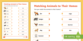 Animal Habitats | twinkl.co.uk