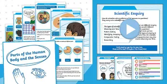 Human Bodies Lesson Plans | twinkl.ca