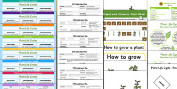 Planning Plants and Growth - Early Years Planting & Growing Activities