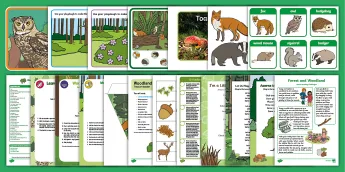 Woodland Forests | twinkl.co.uk