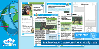 Critically Endangered Chimpanzee Born at Zoo - Twinkl NewsRoom