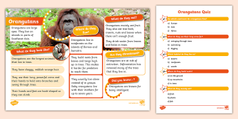 Animals Fact File • Twinkl.ca