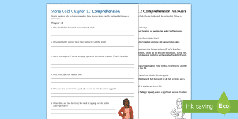 Comprehension Questions Reading | twinkl.co.uk