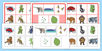 The Bad-Tempered Ladybird by Eric Carle | Primary Resources