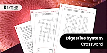 Digestive Systems Biology | twinkl.co.uk