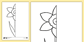 Half-Colouring Sheets | twinkl.com.au